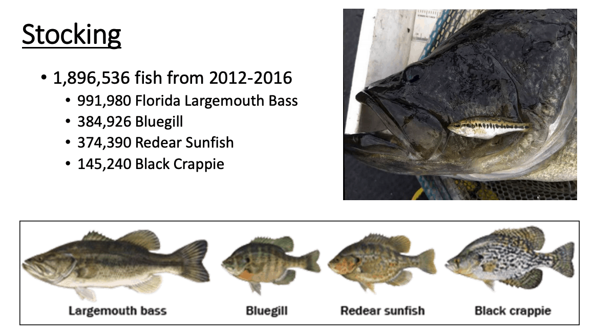 Headwaters Lake Florida - The Complete Fishing Guide • Panfish Nation