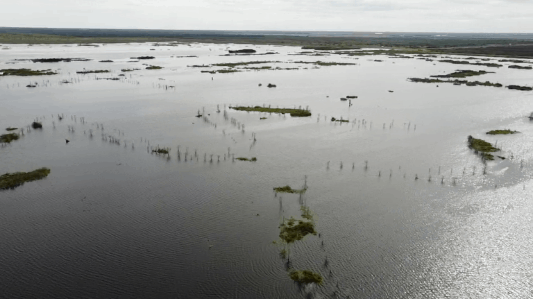 Headwaters Lake Florida - The Complete Fishing Guide • Panfish Nation