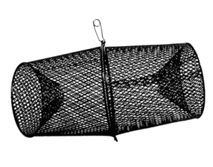 How To Catch Wild Shiners For Bait (Step By Step W/Pics) • Panfish Nation