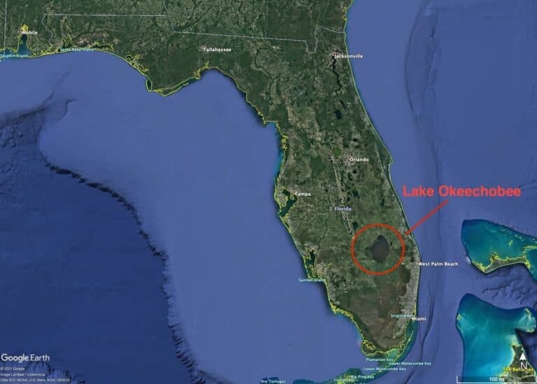 Lake Okeechobee Fishing - The Best Time To Plan A Trip. • Panfish Nation