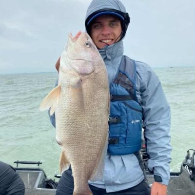 Micro Fishing - A Comprehensive Guide To Get Started • Panfish Nation