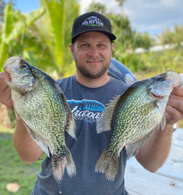 12 Tackle Box Essentials (Full List + Explanations!) • Panfish Nation 12 Tackle Box Essentials (Full List + Explanations!) • Panfish Nation