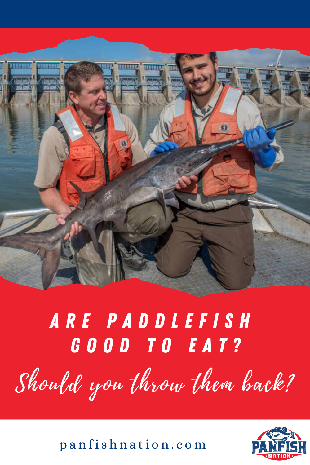 Are Paddlefish Good To Eat? Should You Throw Them Back? • Panfish Nation