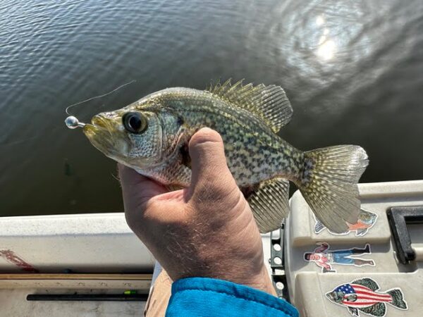 185 Freshwater Fishing Terms Every Angler Should Know • Panfish Nation