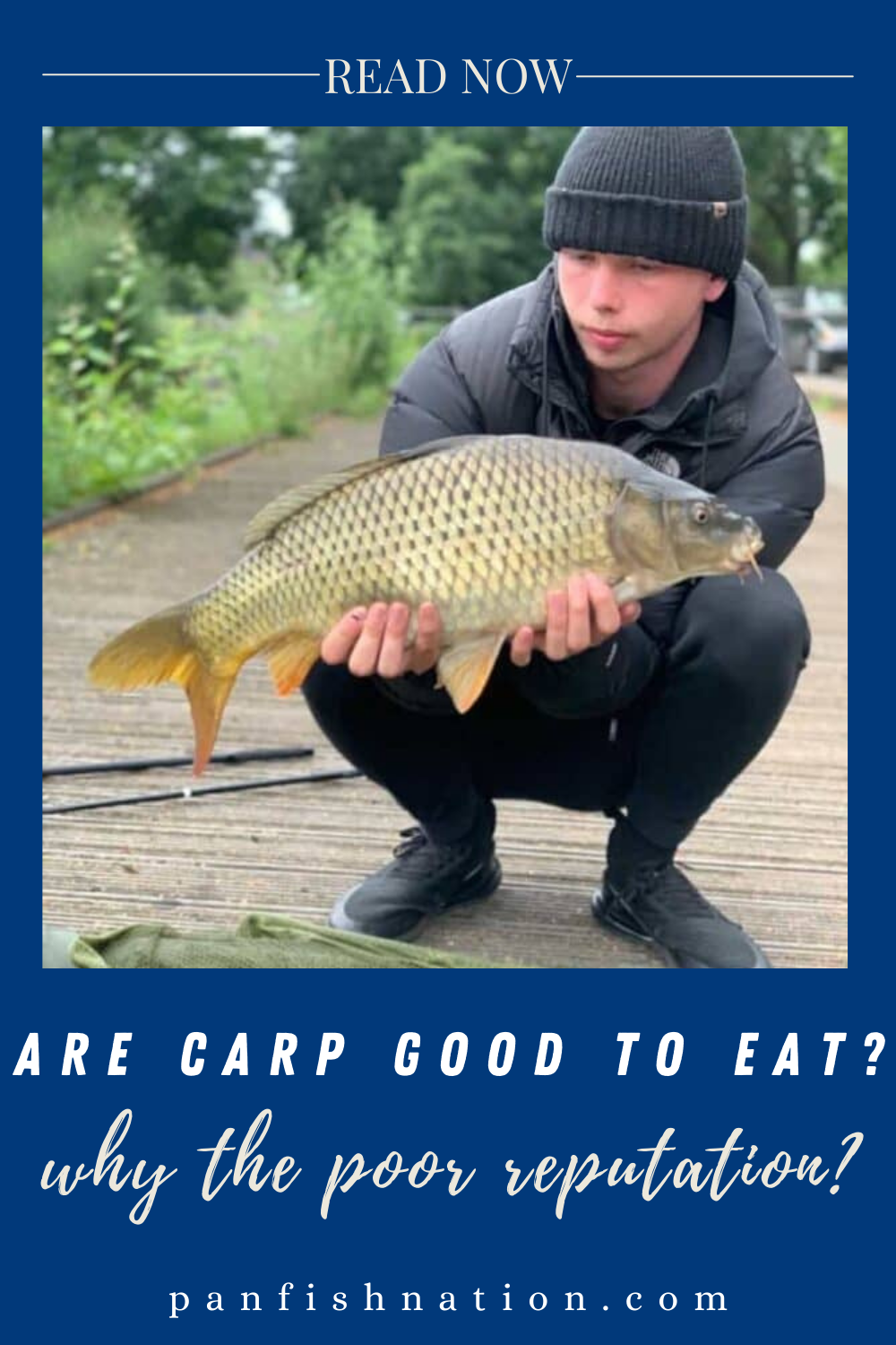 Are Carp Good To Eat? Why The Poor Reputation? • Panfish Nation