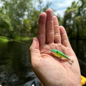 Micro Fishing - A Comprehensive Guide To Get Started • Panfish Nation