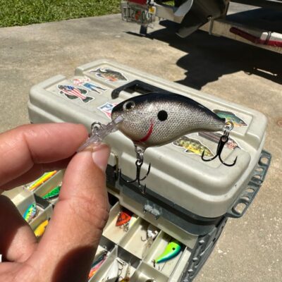 The Top 10 BEST Lures For Bluegill (W/Tips!) • Panfish Nation